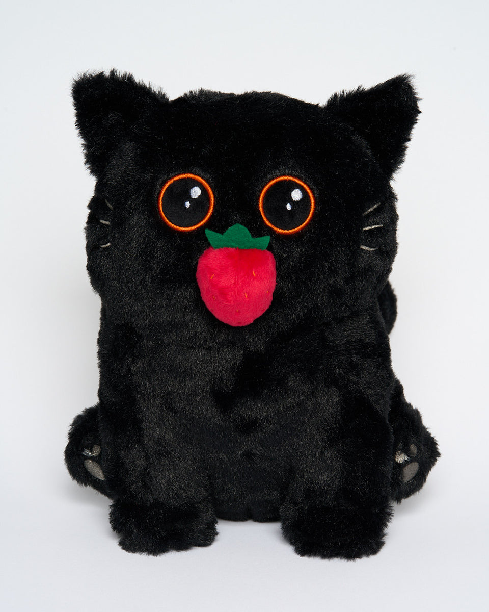 Plush Toys & More – Winky's Whimsies, LLC